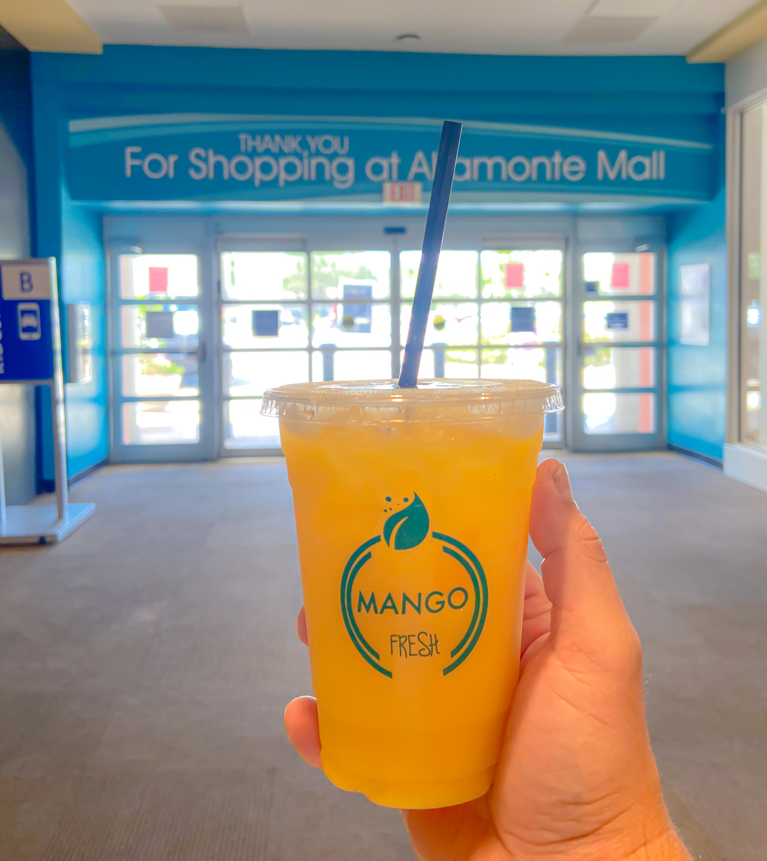 The Mango Fresh – The Mango Fresh