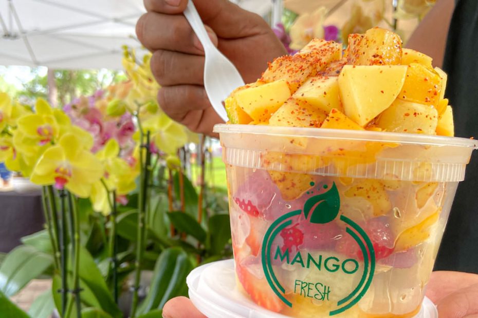 The Mango Fresh – The Mango Fresh